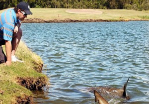 Golf’s 5 Most Dangerous Golf Courses – The Scratch Pad – MyScorecard Blog